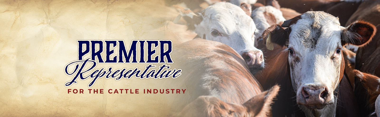 Home - Independent Cattlemen's Association Of Texas