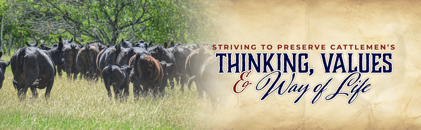Home - Independent Cattlemen's Association Of Texas